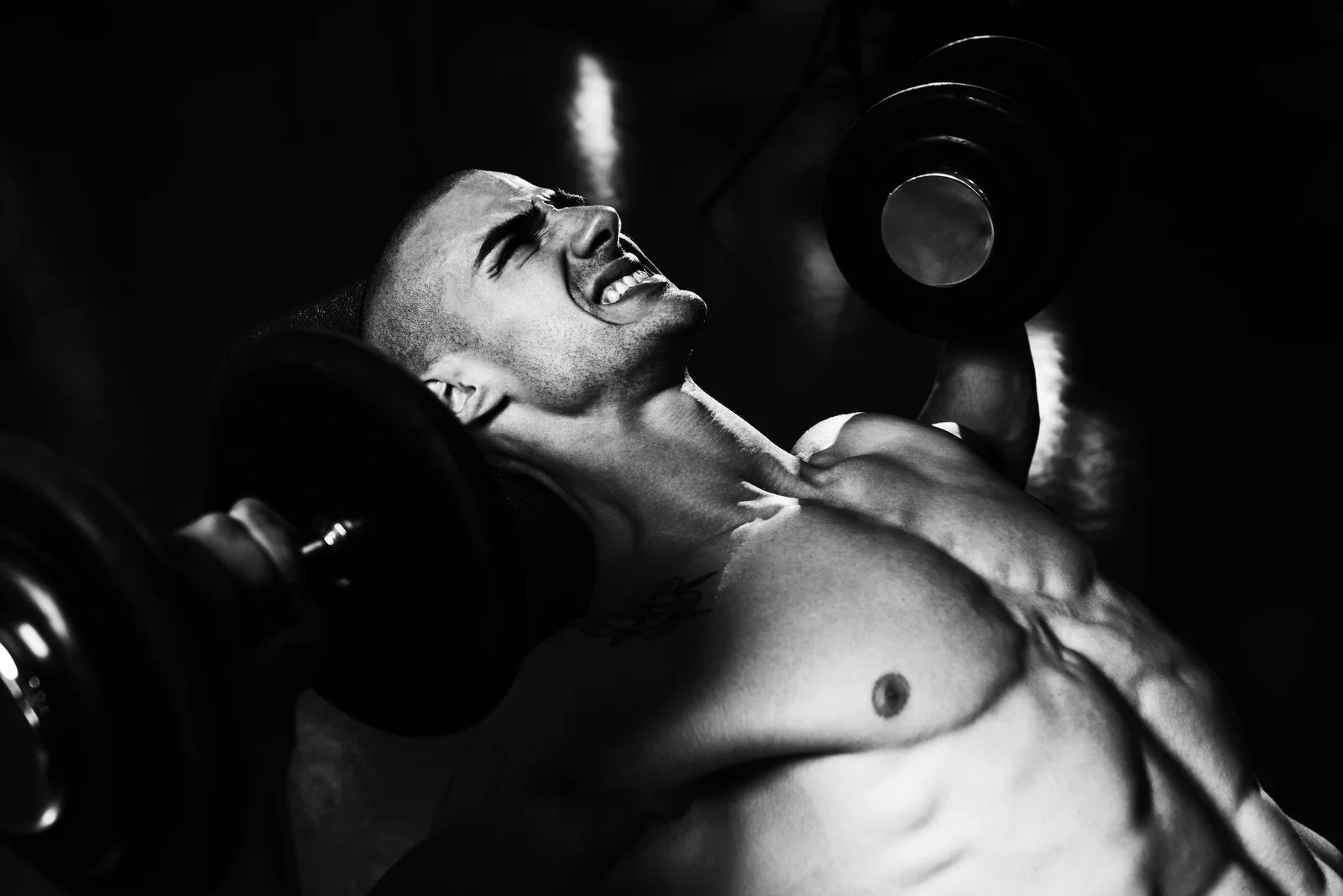 The 7 Greatest Ultimate Guide to Chest Exercise: Develop Strength, Size ...